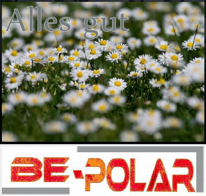Alles gut!