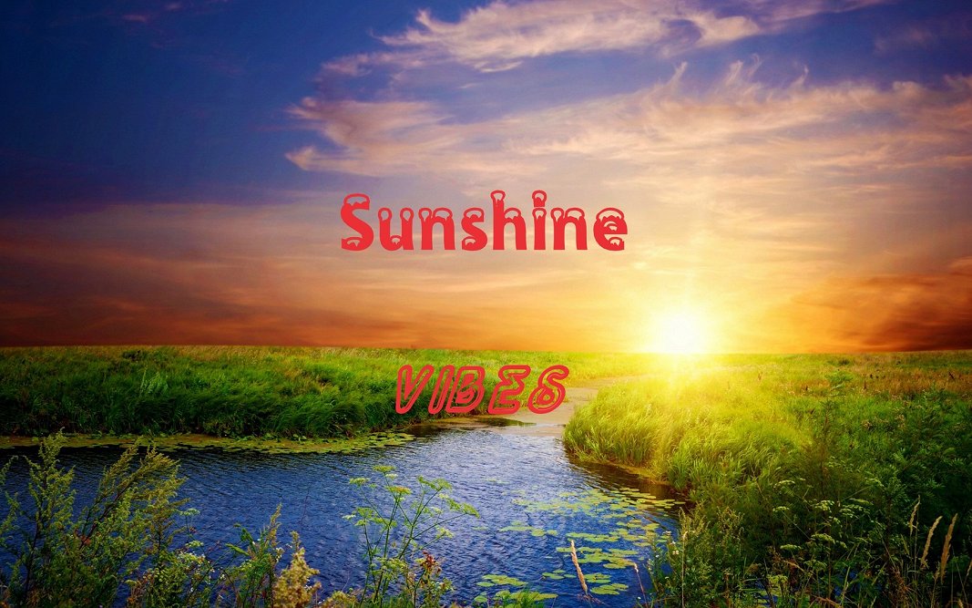 Sunshine Vibes