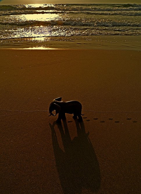 another one of these strange moments....